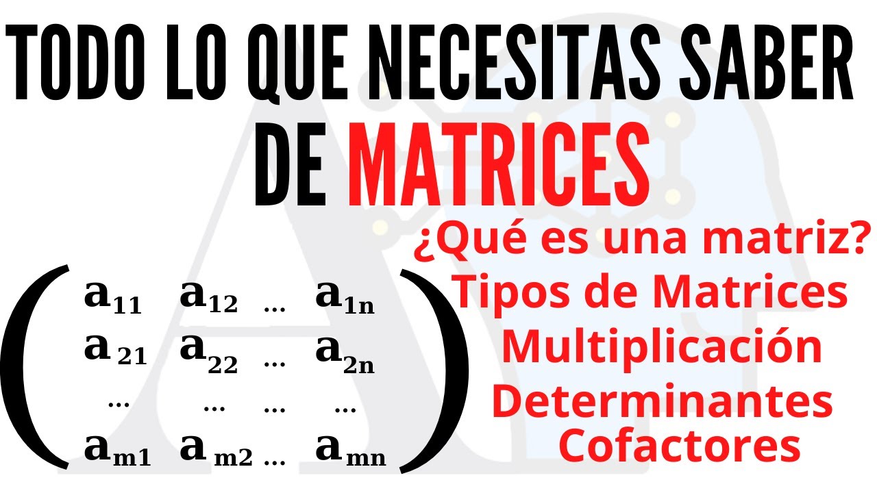 Descubre cómo surgen las matrices: ¡todo lo que necesitas saber ...